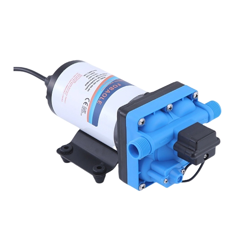 18.9L large flow 110V AC electric diaphragm pump 220V irrigation ...