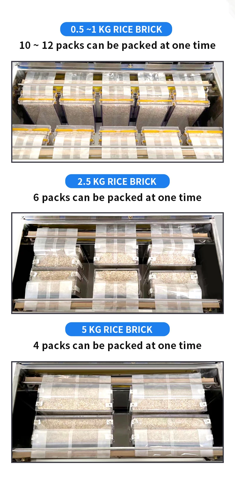 Automatic Food Rice Grain Vegetable Beef Fish Vacuum Machine Single ...